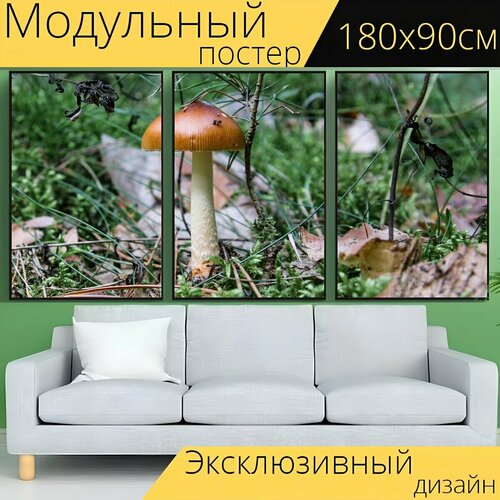 Модульный постер "Гриб, лес, сбор грибов" 180 x 90 см. для интерьера