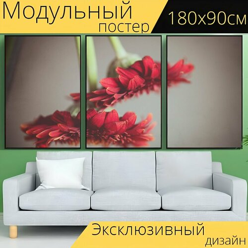 Модульный постер "Увядшие цветы, красный, цвести" 180 x 90 см. для интерьера
