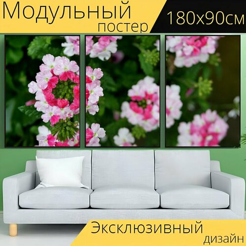 Модульный постер "Розовые цветы, сад, розовый" 180 x 90 см. для интерьера