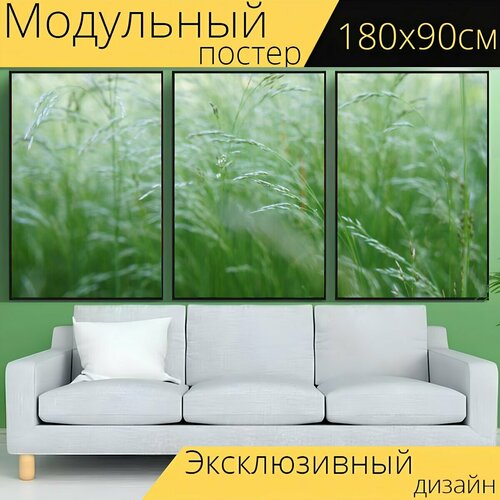 Модульный постер "Трава, осока, поле" 180 x 90 см. для интерьера