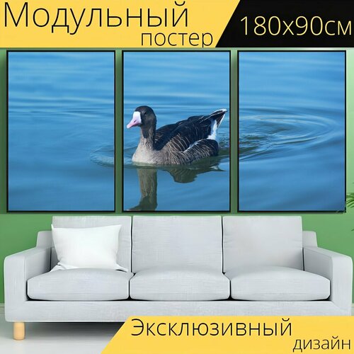 Модульный постер "Вода, птица, озеро" 180 x 90 см. для интерьера