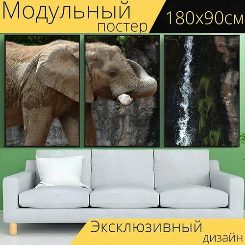 Модульный постер "Зоопарк, животное, слон" 180 x 90 см. для интерьера