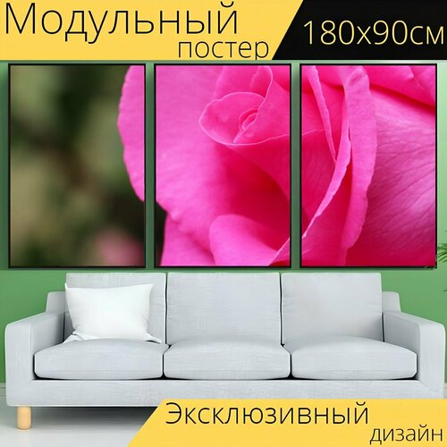 Модульный постер "Роза, цветок, довольно цветы" 180 x 90 см. для интерьера
