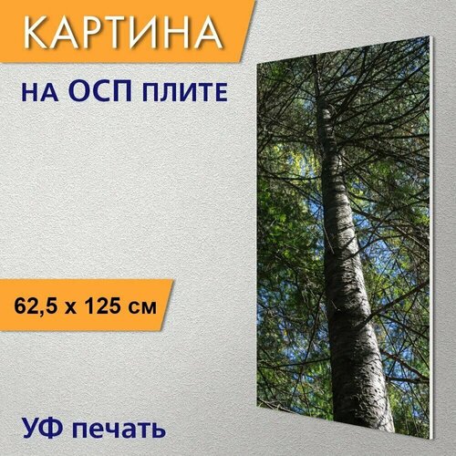 Вертикальная картина на ОСП "Дерево, природа, напиток" 62x125 см. для интерьериа