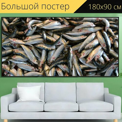 Большой постер "Рыбы, морской, животное" 180 x 90 см. для интерьера