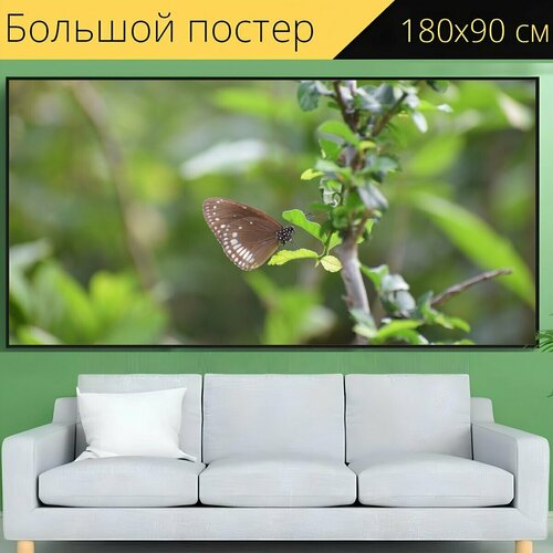 Большой постер "Бабочка, лес, зеленый" 180 x 90 см. для интерьера
