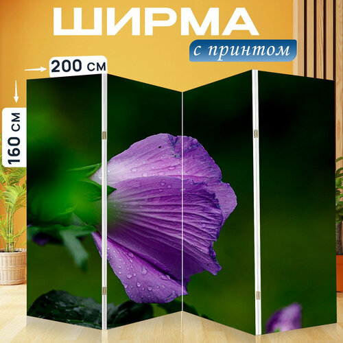 Ширма перегородка с принтом "Гибискус, фиолетовый цветок, цветок" на холсте - 200x160 см. для зонирования, раскладная