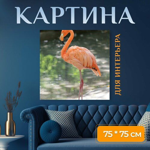 Картина на холсте "Фламинго, животное, птица" на подрамнике 75х75 см. для интерьера