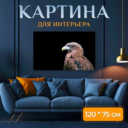 Картина на холсте "Орел, птица, хищные птицы" на подрамнике 120х75 см. для интерьера