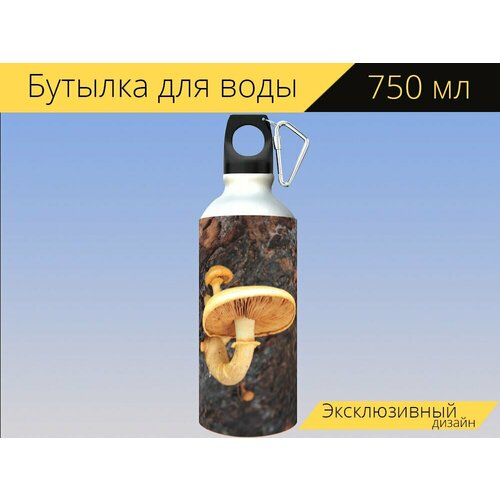 Бутылка фляга для воды "Грибок, поганка, гриб" 750 мл. с карабином и принтом
