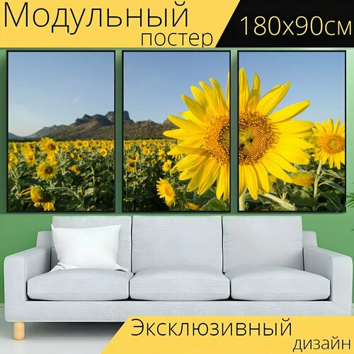 Модульный постер "Солнечный цветок, као подбородок лаэ, лоп бури" 180 x 90 см. для интерьера
