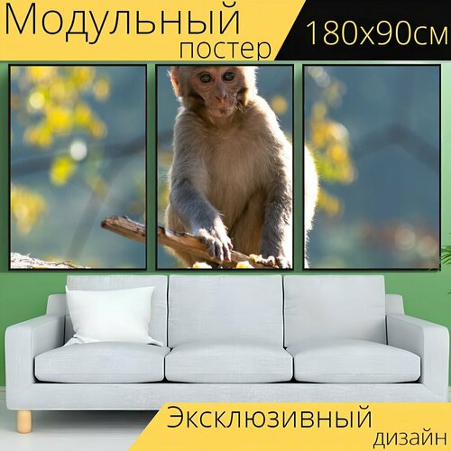 Модульный постер "Лемур, обезьяна, младенец" 180 x 90 см. для интерьера