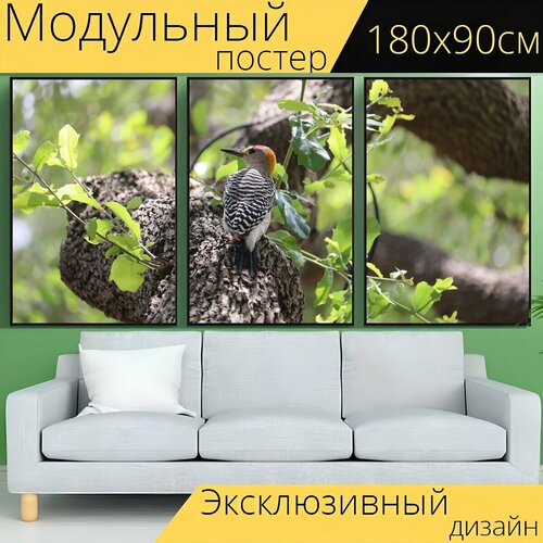 Модульный постер "Дятел, птица, дикая природа" 180 x 90 см. для интерьера