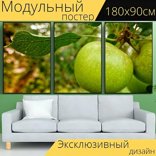Модульный постер "Яблоня, яблоки, фрукты" 180 x 90 см. для интерьера