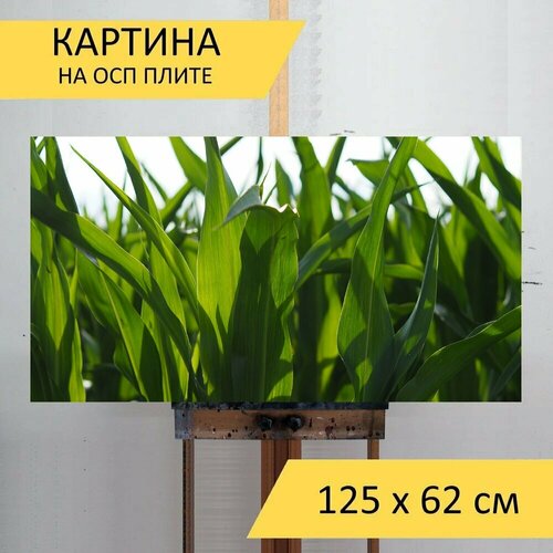 Картина на ОСП 125х62 см. "Кукуруза, листья, зеленый" горизонтальная, для интерьера, с креплениями