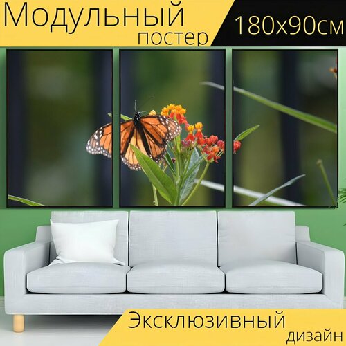 Модульный постер "Бабочка, природа, цветок" 180 x 90 см. для интерьера