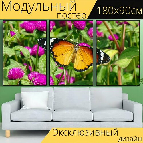 Модульный постер "Бабочка, простой тигр, насекомое" 180 x 90 см. для интерьера