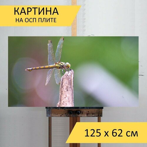 Картина на ОСП 125х62 см. "Стрекоза, насекомое, цветы" горизонтальная, для интерьера, с креплениями