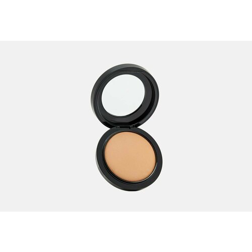 Пудра MAC MINERALIZE SKINFINISH NATURAL цвет: Medium Tan / 10 г