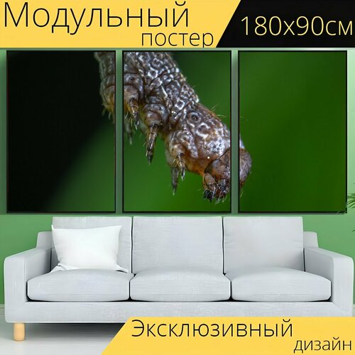 Модульный постер "Макро, насекомое, гусеница" 180 x 90 см. для интерьера