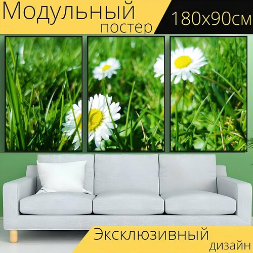 Модульный постер "Цветы, трава, природа" 180 x 90 см. для интерьера
