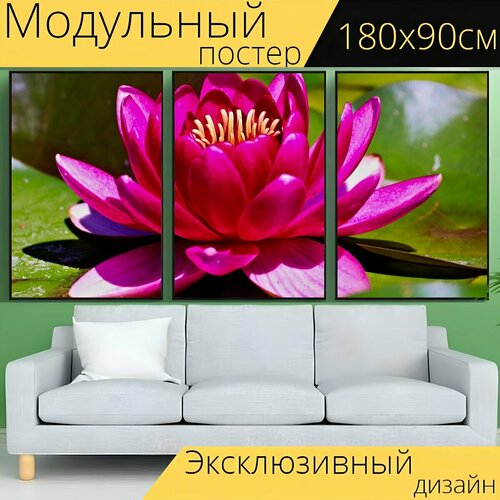 Модульный постер "Водяная лилия, цветок, цвести" 180 x 90 см. для интерьера