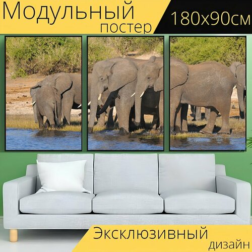 Модульный постер "Слон, дикая природа, млекопитающее" 180 x 90 см. для интерьера
