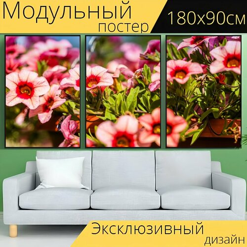 Модульный постер "Цветок, цвести, летом" 180 x 90 см. для интерьера