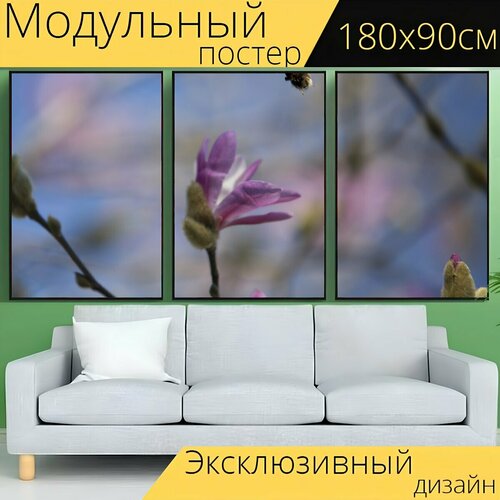 Модульный постер "Магнолии, цветок, весна" 180 x 90 см. для интерьера