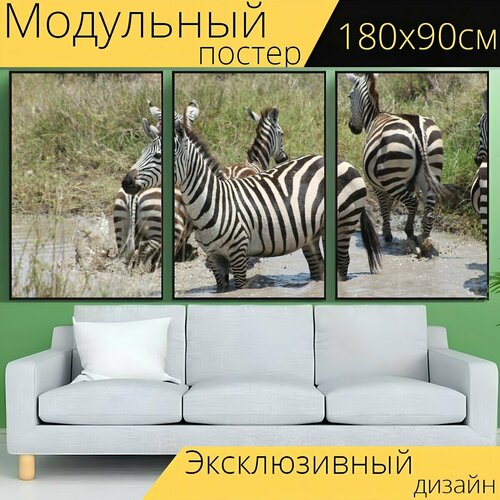 Модульный постер "Зебры, животные, природа" 180 x 90 см. для интерьера