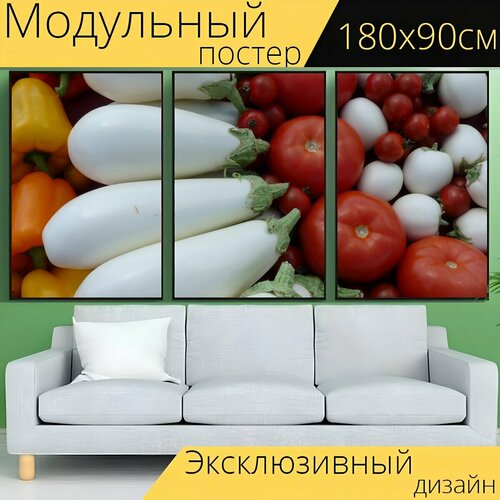 Модульный постер "Овощи, помидор, еда" 180 x 90 см. для интерьера