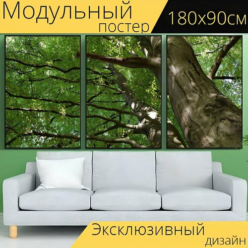Модульный постер "Деревья, бук, лес" 180 x 90 см. для интерьера