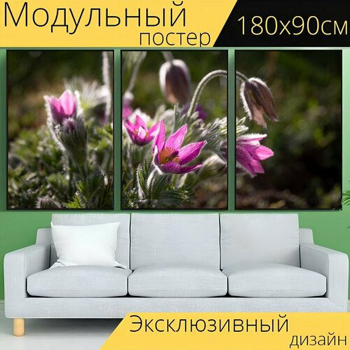 Модульный постер "Цветок, анемоны, сад" 180 x 90 см. для интерьера