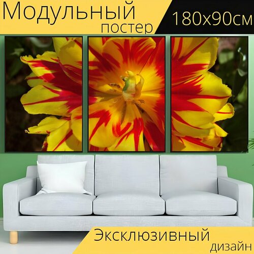 Модульный постер "Тюльпан, жёлтый, цветок" 180 x 90 см. для интерьера