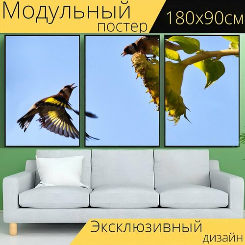 Модульный постер "Штиглица, птица, подача" 180 x 90 см. для интерьера