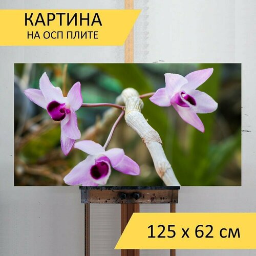 Картина на ОСП 125х62 см. "Орхидея, фиолетовые орхидеи, фиолетовый" горизонтальная, для интерьера, с креплениями