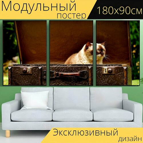 Модульный постер "Чемодан, античный, кот" 180 x 90 см. для интерьера