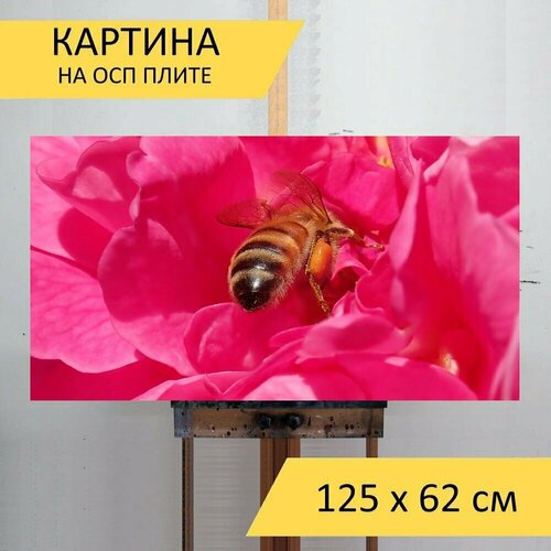 Картина на ОСП 125х62 см. "Пчела насекомое, цветочная пыльца, цветок" горизонтальная, для интерьера, с креплениями