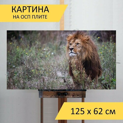 Картина на ОСП 125х62 см. "Лев, дикий кот, величественный" горизонтальная, для интерьера, с креплениями