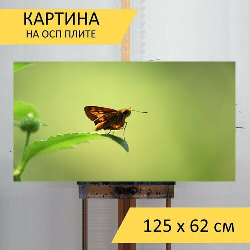 Картина на ОСП 125х62 см. "Керала, индия, бабочка" горизонтальная, для интерьера, с креплениями