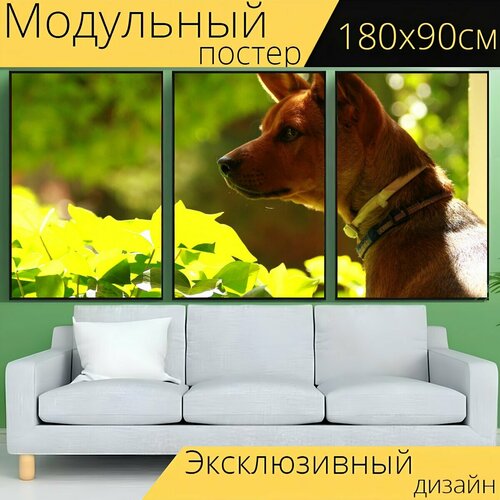 Модульный постер "Портрет собаки, мужчина, щенок" 180 x 90 см. для интерьера