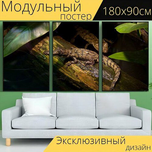 Модульный постер "Крокодил, аллигатор, рептилия" 180 x 90 см. для интерьера