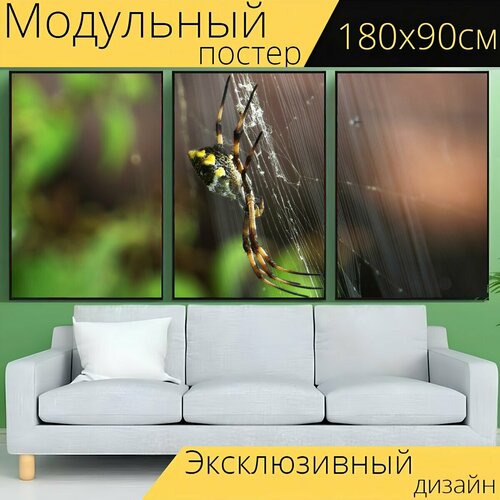 Модульный постер "Паук, насекомое, веб" 180 x 90 см. для интерьера