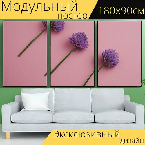 Модульный постер "Чеснок, цветы, фиолетовый" 180 x 90 см. для интерьера