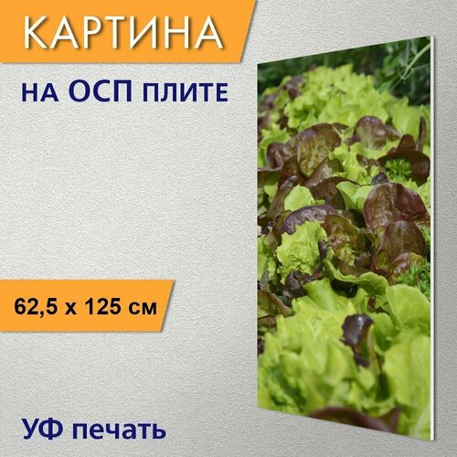 Вертикальная картина на ОСП "Початкоотделительные салат, салат, еда" 62x125 см. для интерьериа