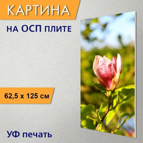 Вертикальная картина на ОСП "Магнолия, цвести, весна" 62x125 см. для интерьериа