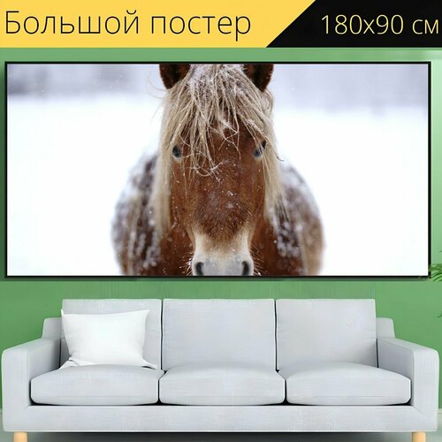 Большой постер "Лошадь, животное, зима" 180 x 90 см. для интерьера