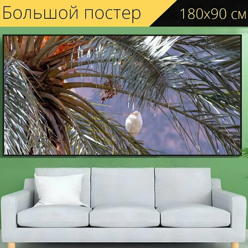 Большой постер "Птица, пальма, природа" 180 x 90 см. для интерьера