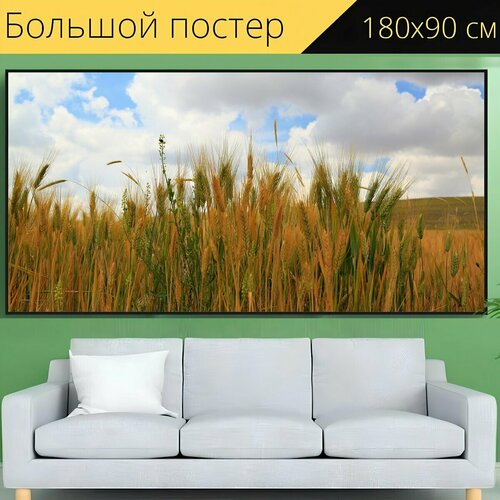 Большой постер "Дева, сельское хозяйство, площадь" 180 x 90 см. для интерьера