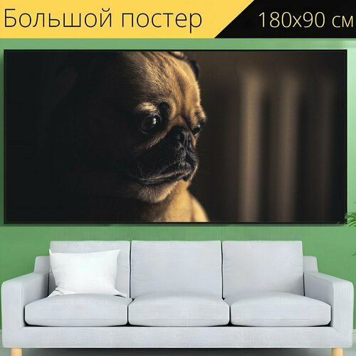 Большой постер "Собака, мопс, щенок" 180 x 90 см. для интерьера